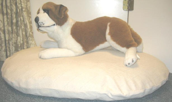 oval-shaped-pet-bed | Foam n More & Upholstery